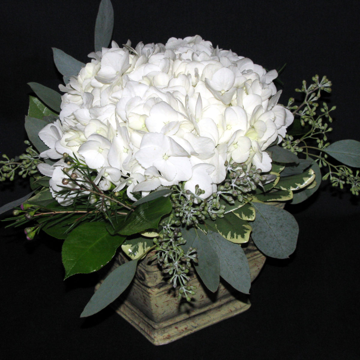 Petals on Prince Floral Arrangements for All Occasions | Florist in ...